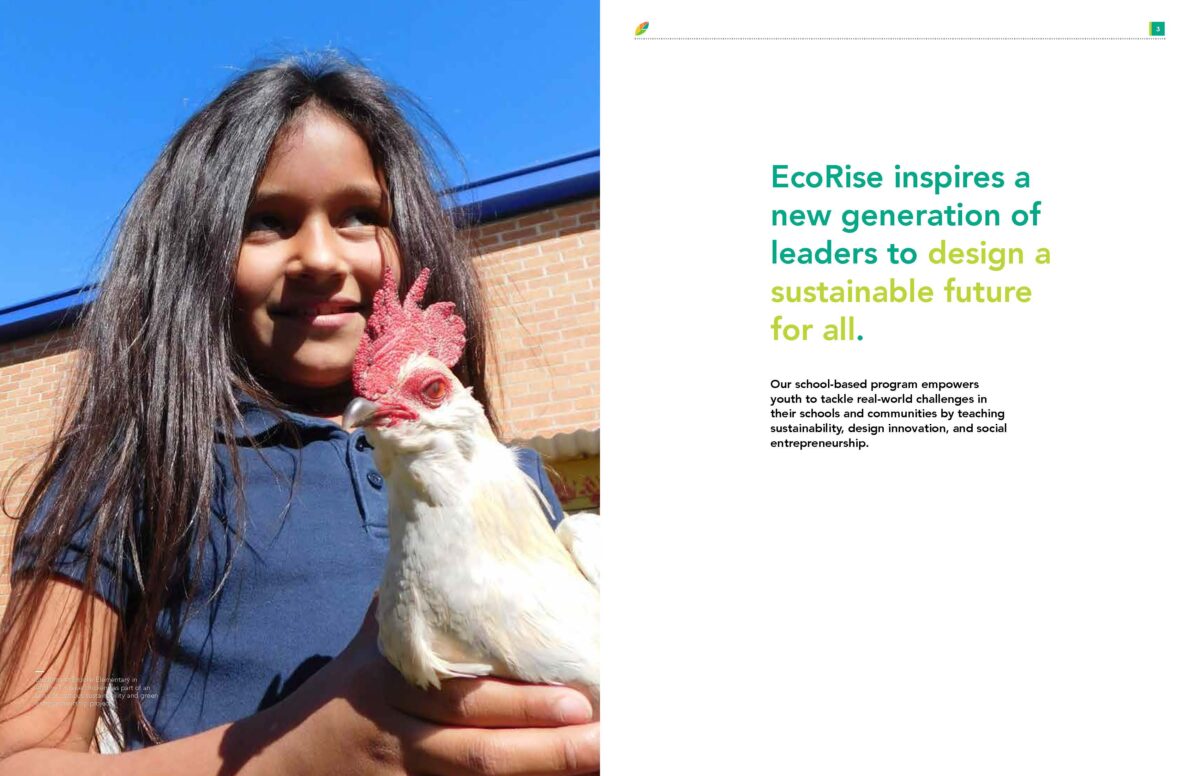 EcoRise Impact Report: 2016-2017 - EcoRise