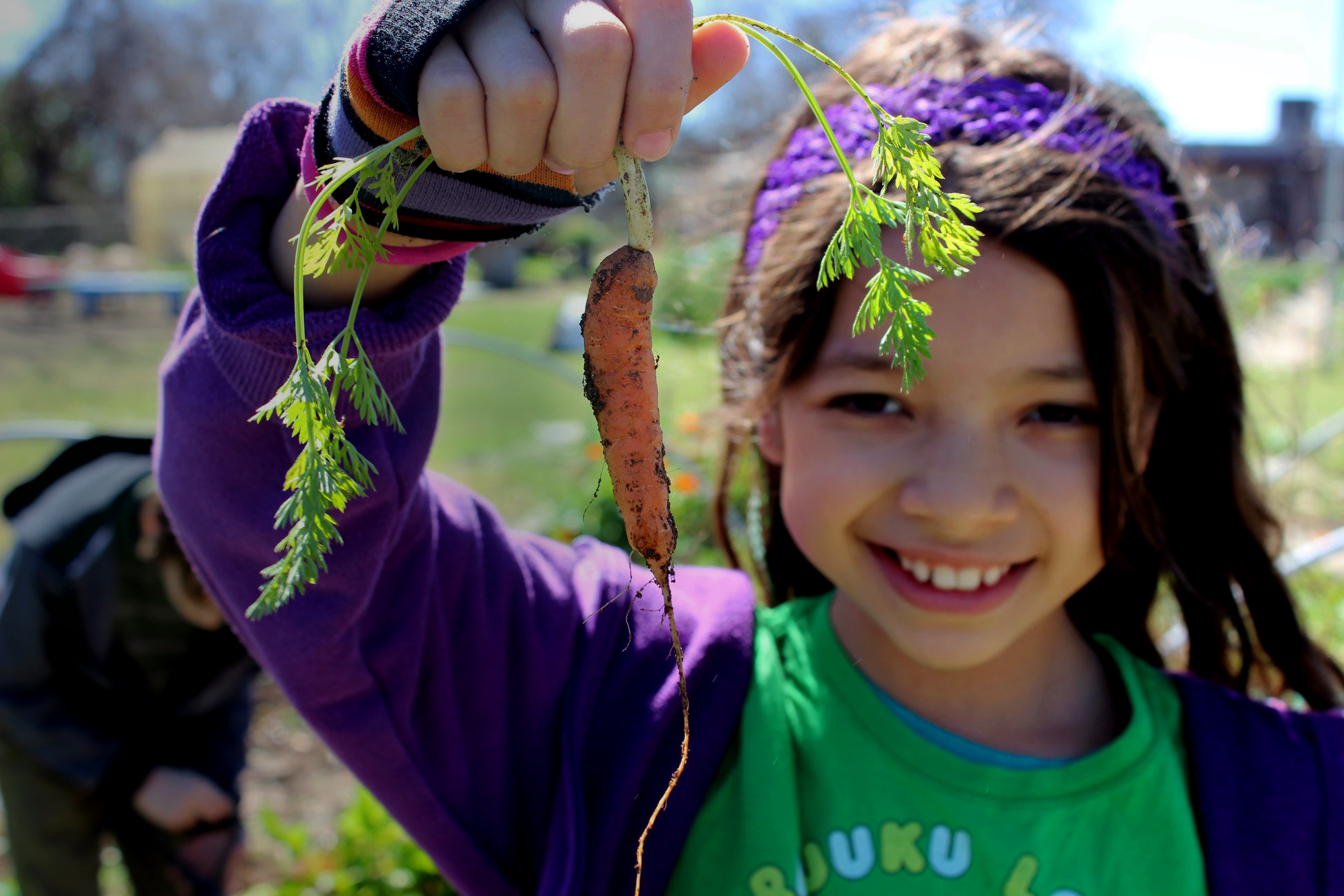 Get Involved with EcoRise – work for sustainability in education