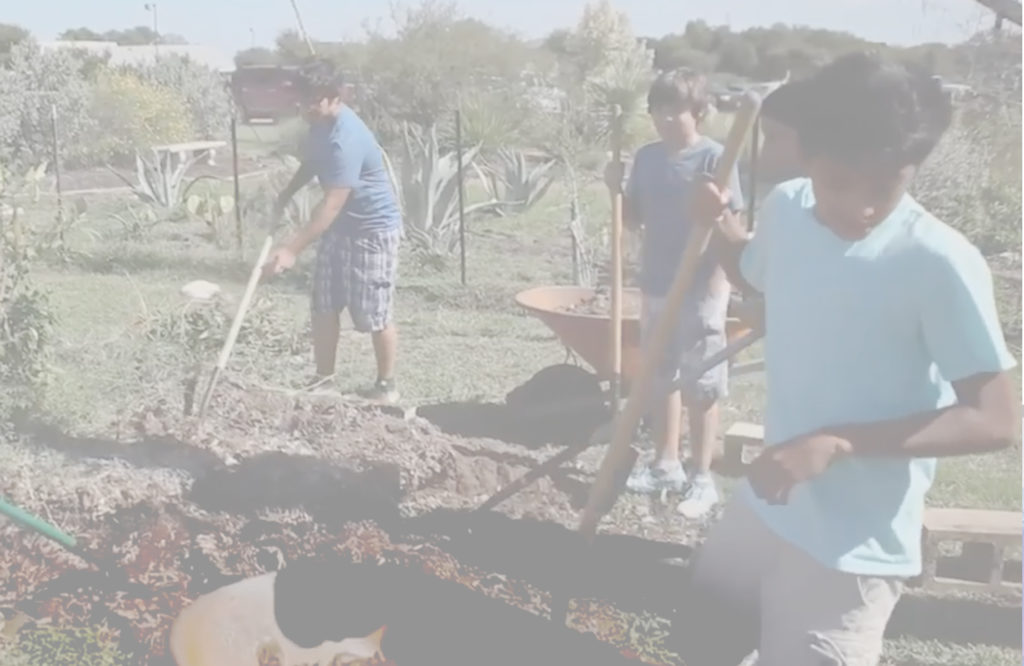 Sustainable Intelligence Curriculum - EcoRise