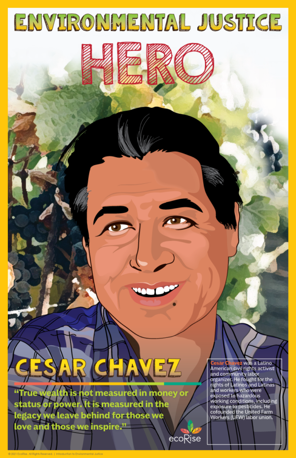 Introduction to Environmental Justice - EcoRise