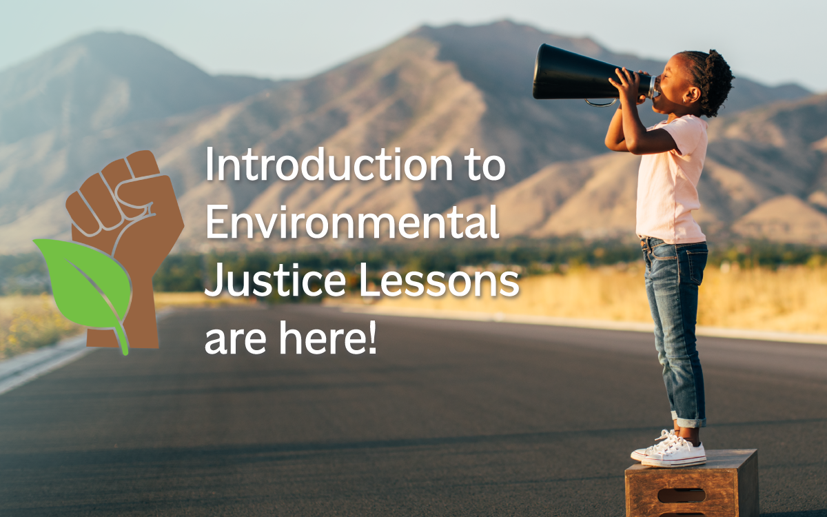 Introduction to Environmental Justice - EcoRise