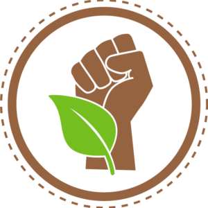 Introduction to Environmental Justice - EcoRise