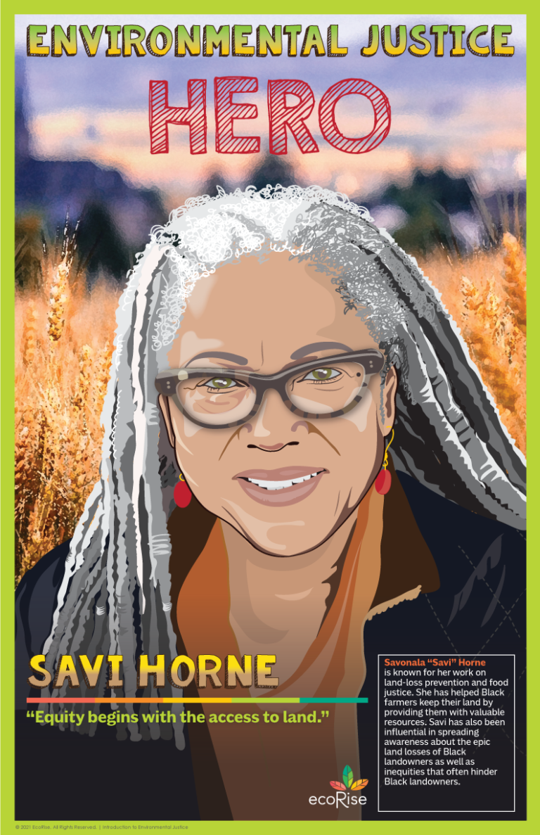 Introduction to Environmental Justice - EcoRise