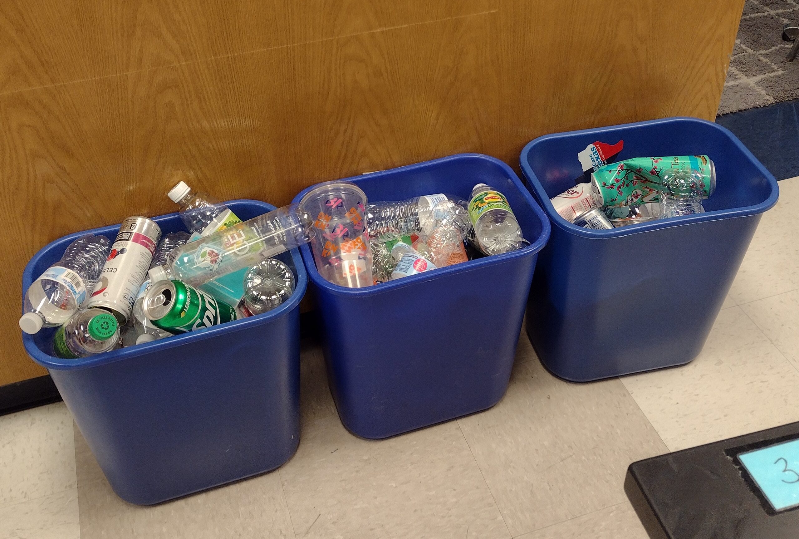 Recycling in the Commons - EcoRise - See the impact EcoRise students ...