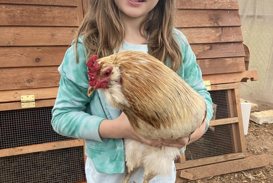 EcoRise - Inspiring the next generation of green leaders