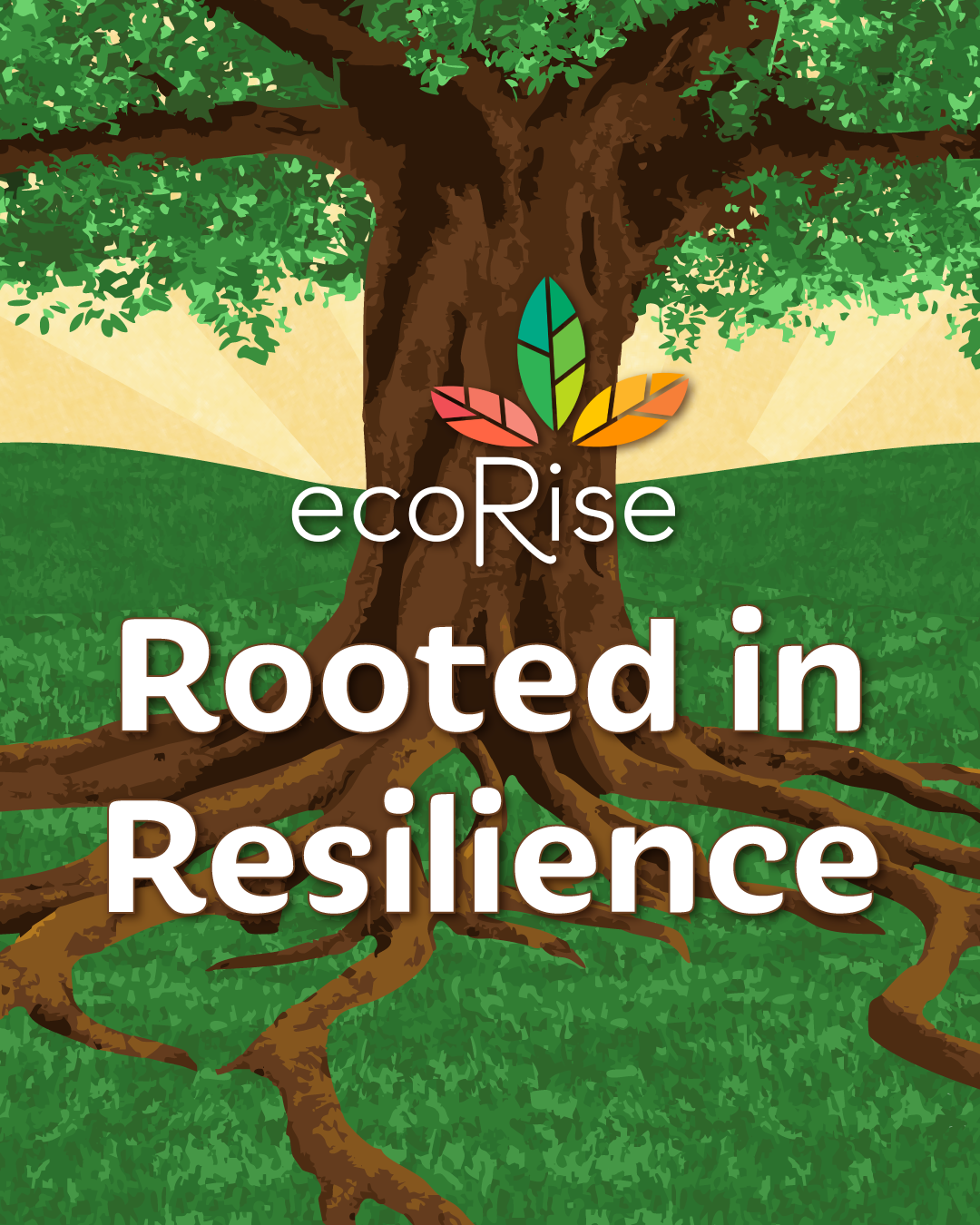 EcoRise Year-End Update: Resilience in Climate Education Programs